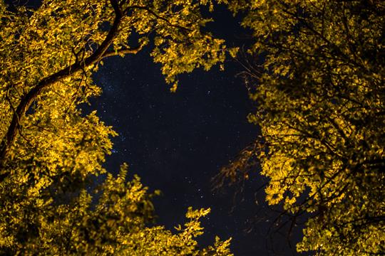 | PostIndependent.com